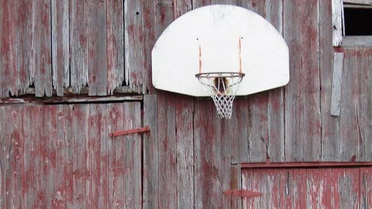 The 5 Best Basketball Hoops for the Driveway (Best at home baseketball ...
